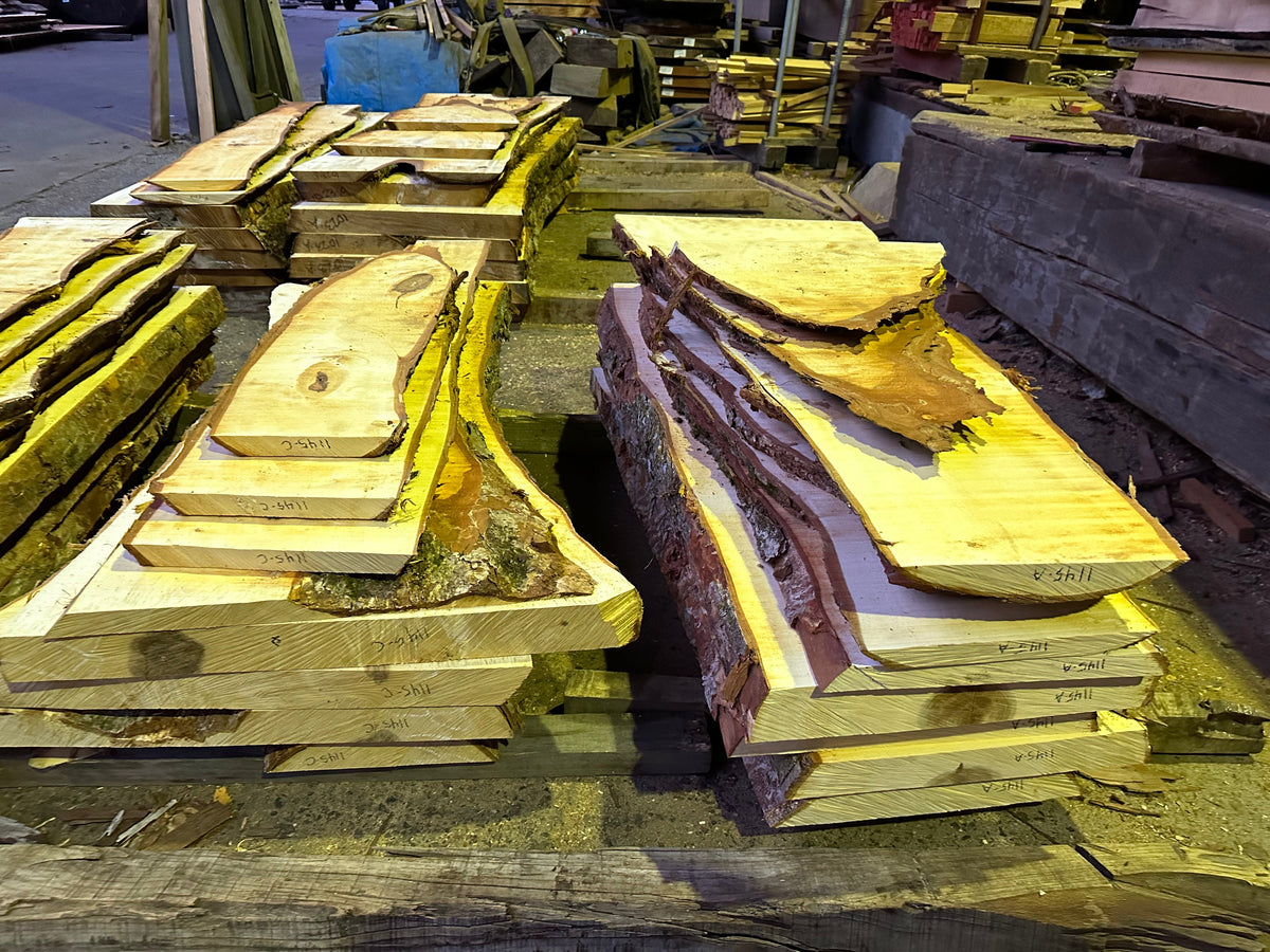 Discover Tochi: The Underrated Japanese Tonewood Elevating Fine Instru ...